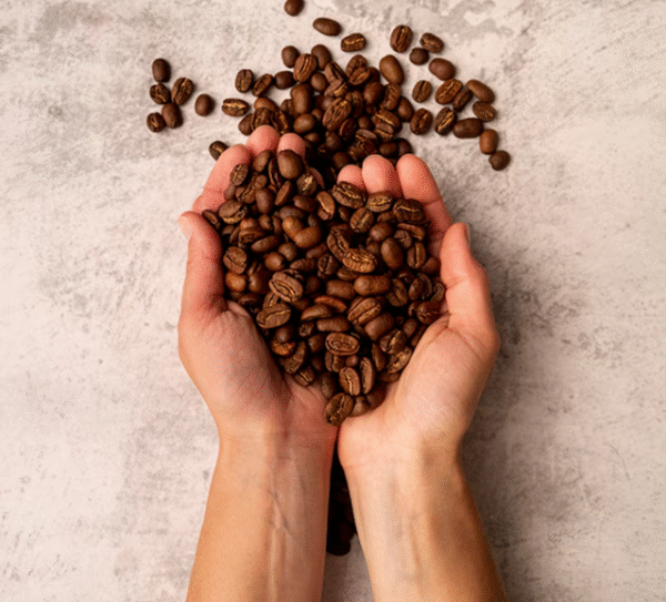 Our Story | Sustainable, Veteran-Supporting Coffee by Lavanta